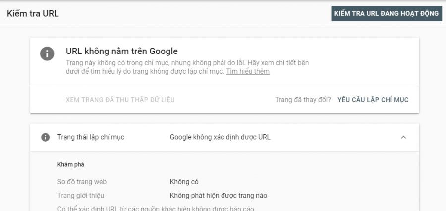 Google index là gì? Cách thúc đẩy Google index URL nhanh hơn